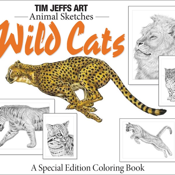 TimJeffsArt - Etsy