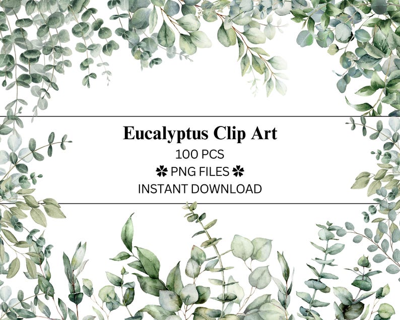 Eucalyptus PNG Clip Art Bundle | Watercolour Eucalyptus Set | Frames ...