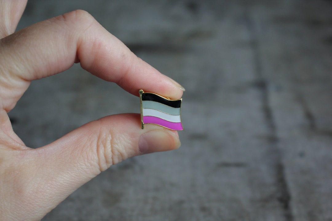 Asexual Rainbow Flag Enamel Pin Clothes Backpack Pin Etsy