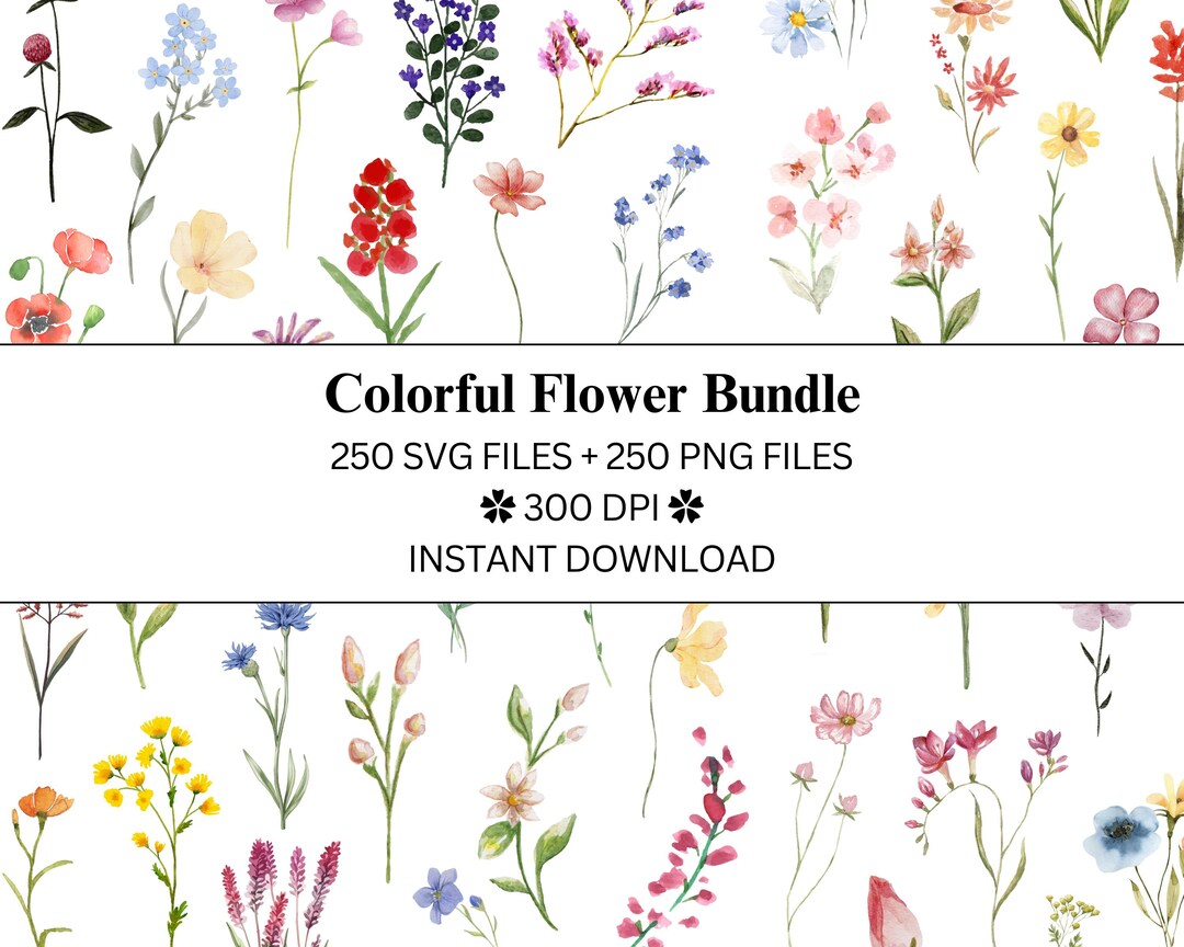 Colorful Flower Bundle | SVG Files | PNG Files | Floral Clipart ...