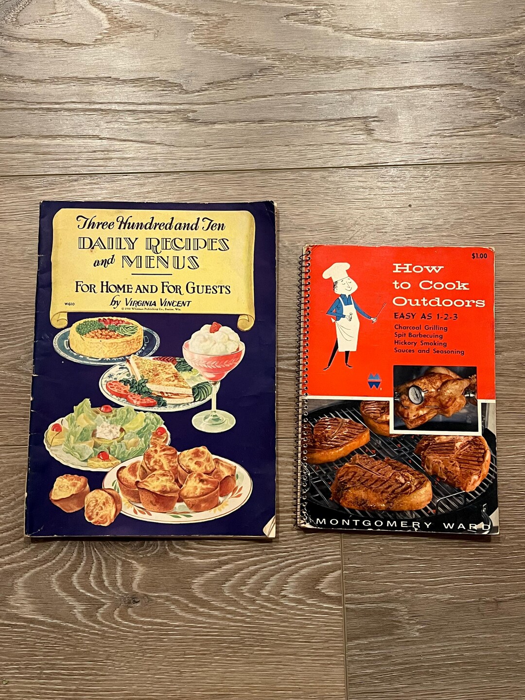 Set of 2 Vintage Cook Books, How to Cook Outdoors, Daily Recipes and ...