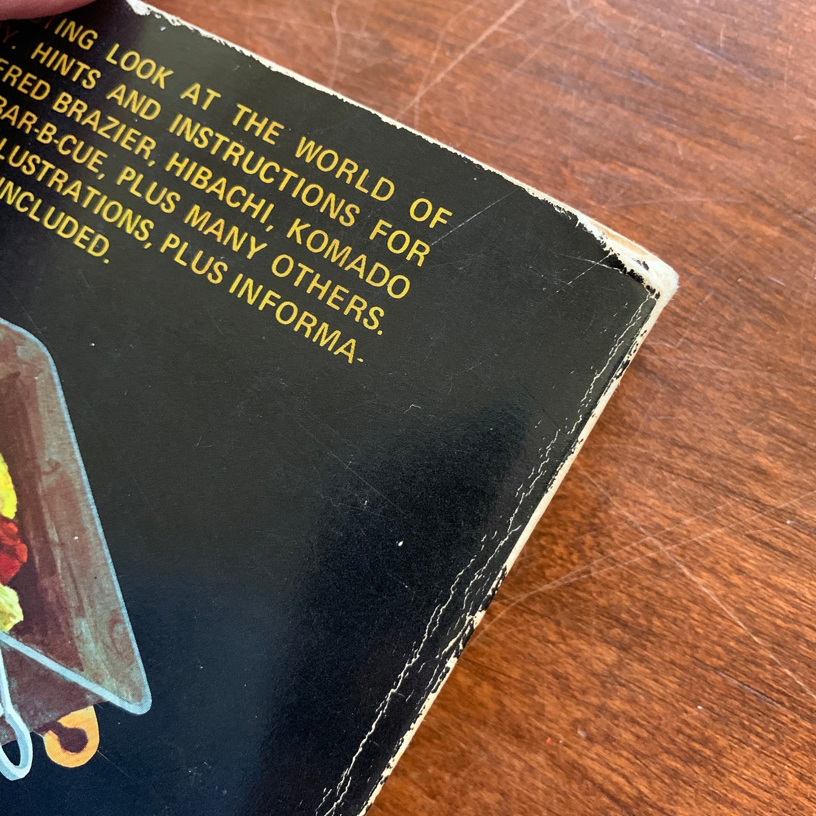 70s NITTY GRITTY Charcoal Cookbook 1970s Barbecue Grill Recipes - Etsy