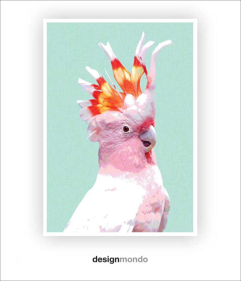 Galah Wall Art Australian Parrot Prints Major Mitchell - Etsy Australia