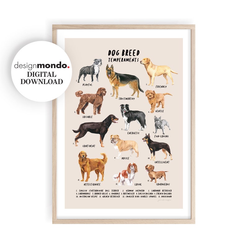 Dog Breeds Poster - Etsy