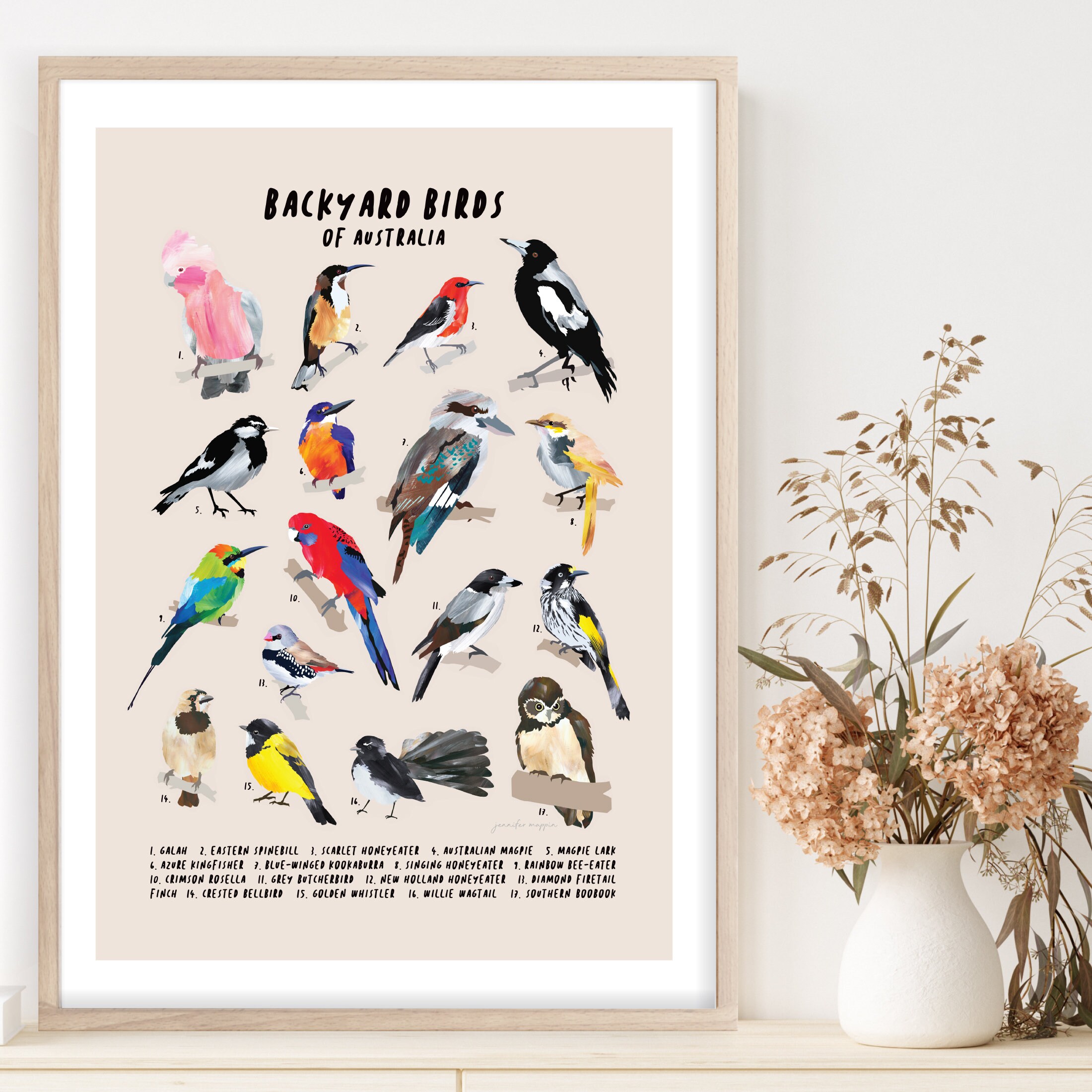 Australian Birds Wall Chart, Backyard Birds of Australia Print, Bird ...