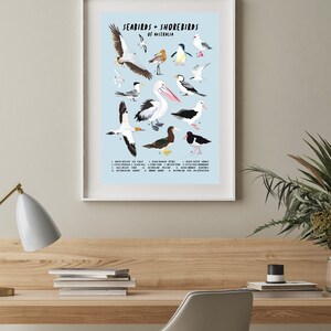 Seabirds and Shorebirds Printable, Beach Decor, Montessori Poster, Bird ...