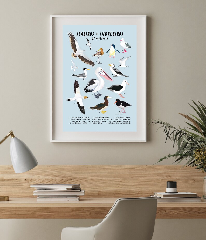 Seabirds and Shorebirds Printable, Beach Decor, Montessori Poster, Bird ...