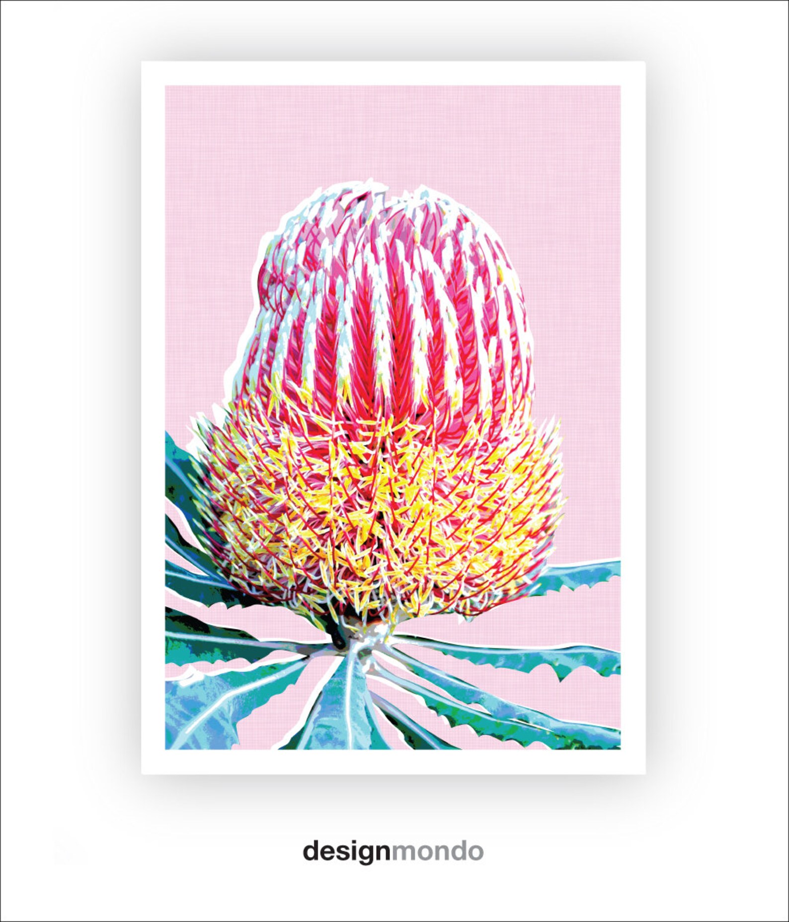 Native Flower Print Set Set of 3 Floral Prints Australian | Etsy