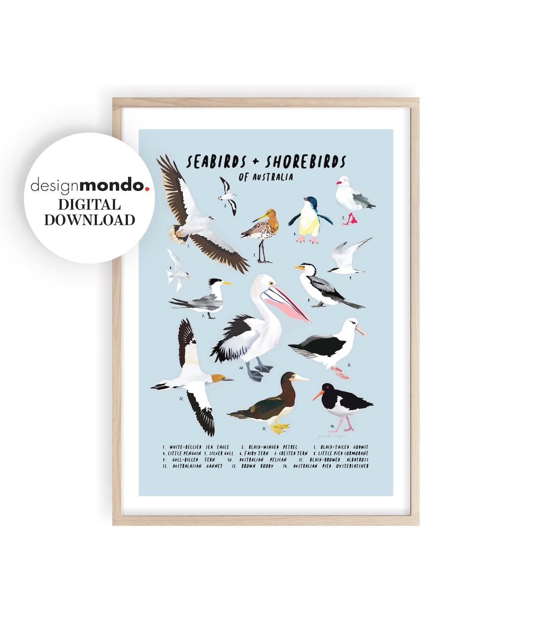 Seabirds and Shorebirds Printable, Beach Decor, Montessori Poster, Bird ...