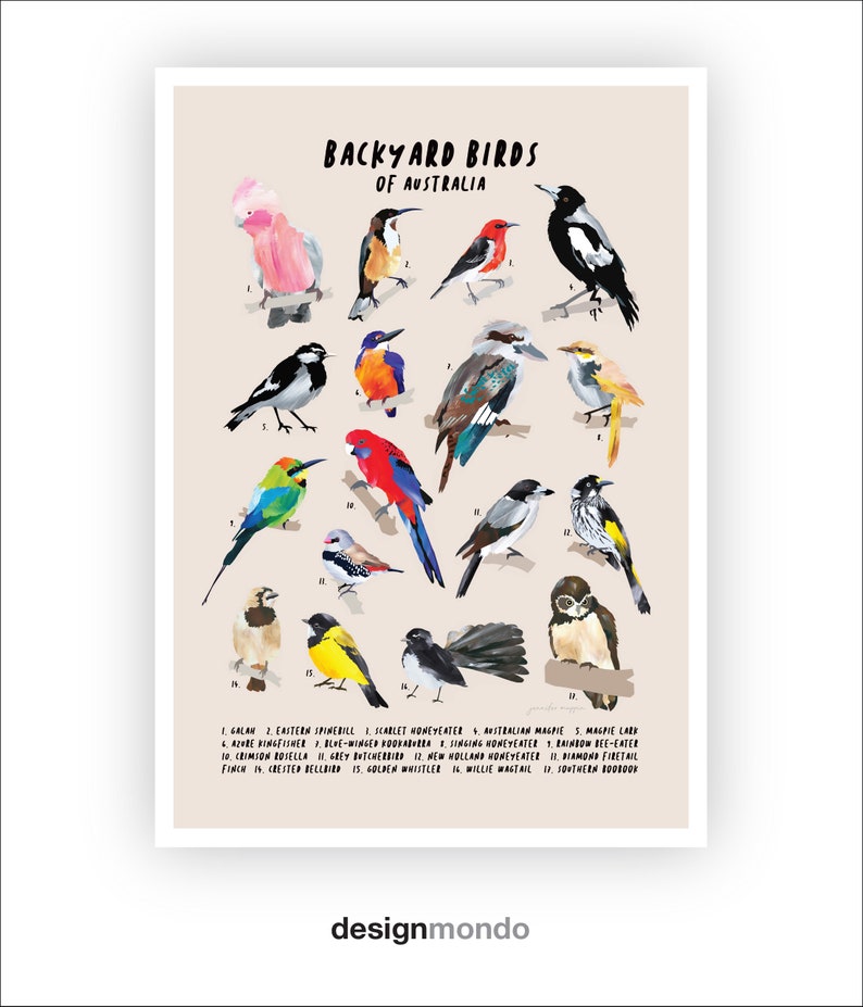 Australian Birds Wall Chart, Backyard Birds of Australia Print, Bird ...