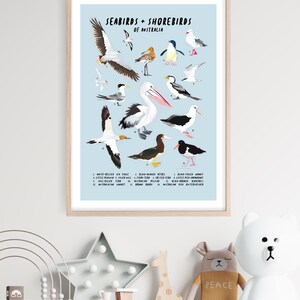 Seabirds and Shorebirds Printable, Beach Decor, Montessori Poster, Bird ...