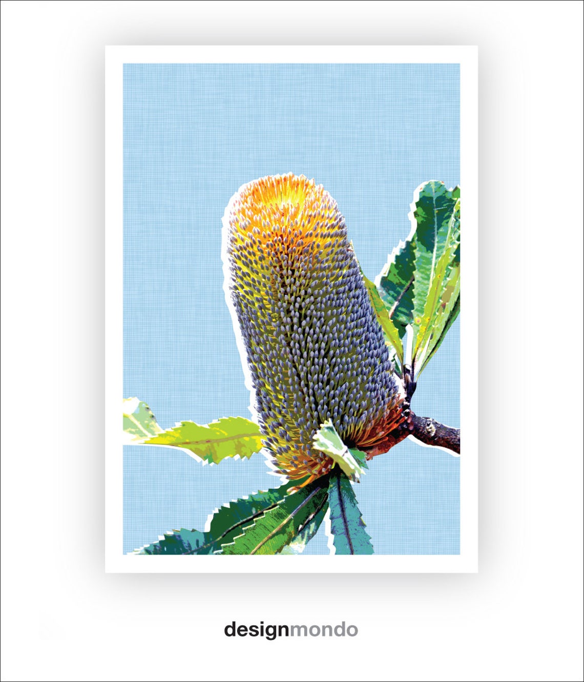 Native Flower Print Set Set of 3 Floral Prints Australian | Etsy