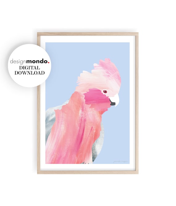 Galah Printable Australian Birds Wall Art Pink Galah Wall | Etsy