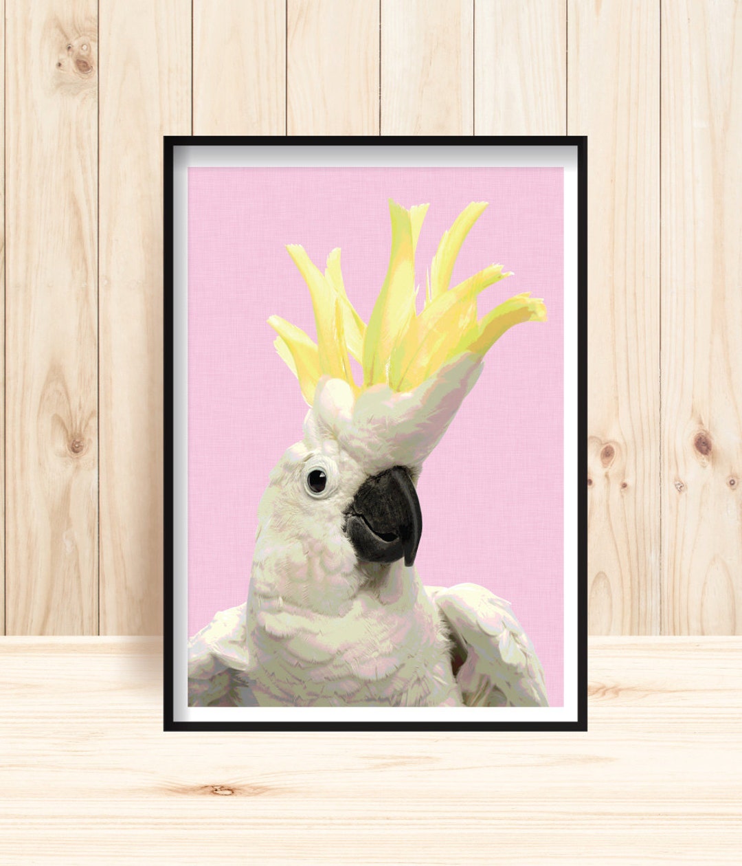 Australian Cockatoo Wall Art Funny Bird Print Nursery Prints Australian Fauna Art White