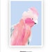 Galah Printable, Australian Birds Wall Art, Pink Galah Wall Art, Pink ...