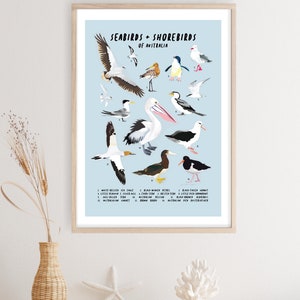 Seabirds and Shorebirds Printable, Beach Decor, Montessori Poster, Bird ...