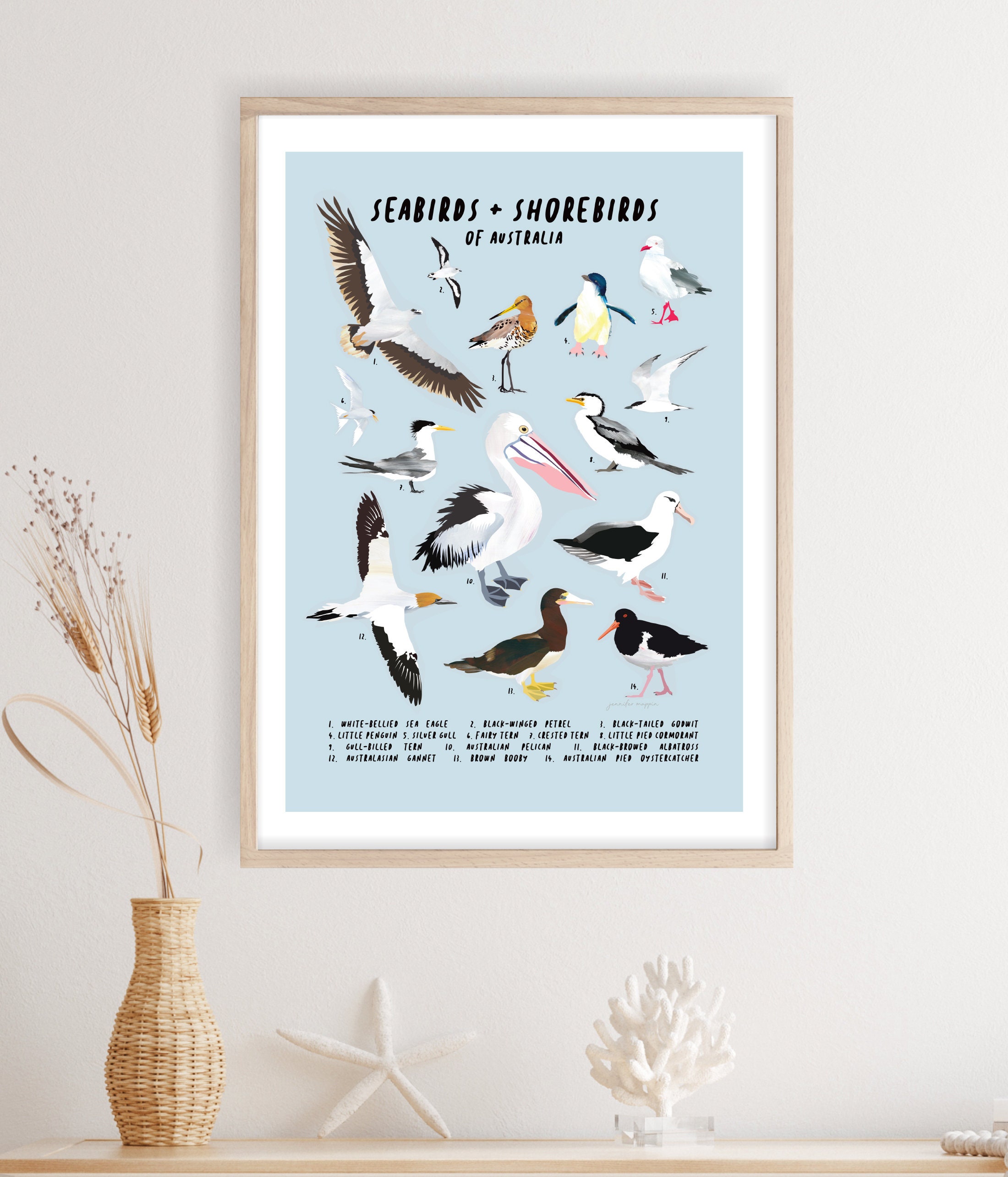Seabirds and Shorebirds Printable, Beach Decor, Montessori Poster, Bird ...