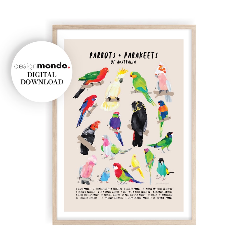 Parrot Poster - Etsy