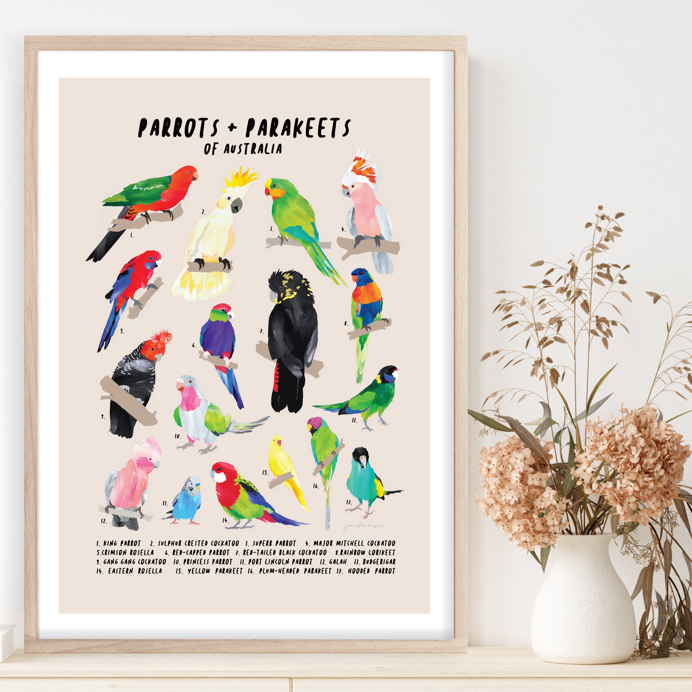 Parrots Chart Parrots and Parakeets Identification Chart - Etsy Australia