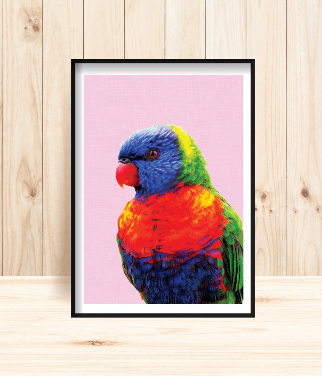 Rainbow Lorikeet Prints, Colorful Parrot Printable, Australian Parrot ...