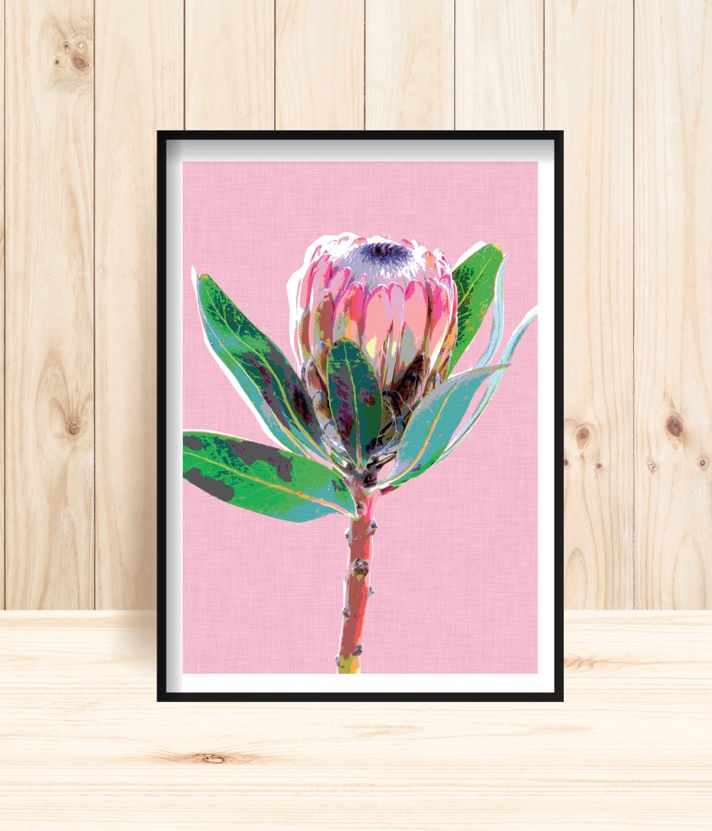 Flower Prints, Downloadable Flower Prints, Protea Wall Art, Native ...