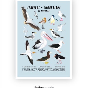 Seabirds and Shorebirds Printable, Beach Decor, Montessori Poster, Bird ...
