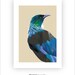 Bird Wall Art, New Zealand Native Bird Print, Tui Printable, Bird ...