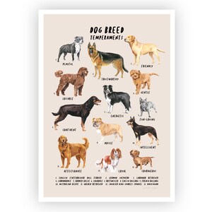 Dog Prints, Dog Identification Chart, Dog Printable, Dog Breeds Wall ...