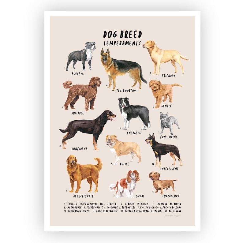 Dog Prints Dog Identification Chart Dog Printable Dog - Etsy