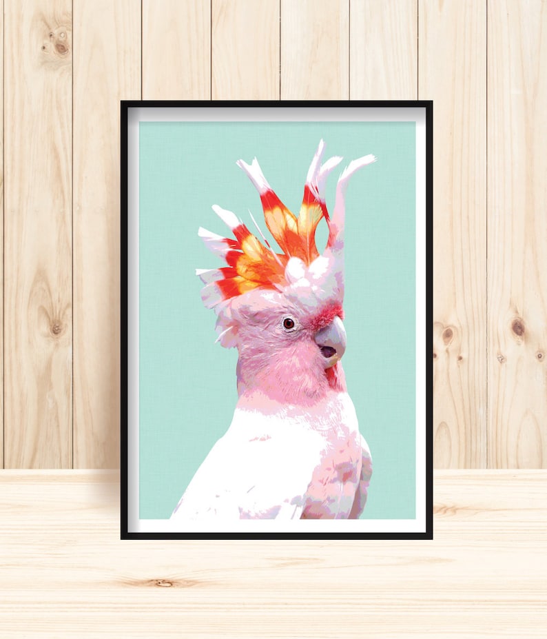 Galah Wall Art Australian Parrot Prints Major Mitchell | Etsy