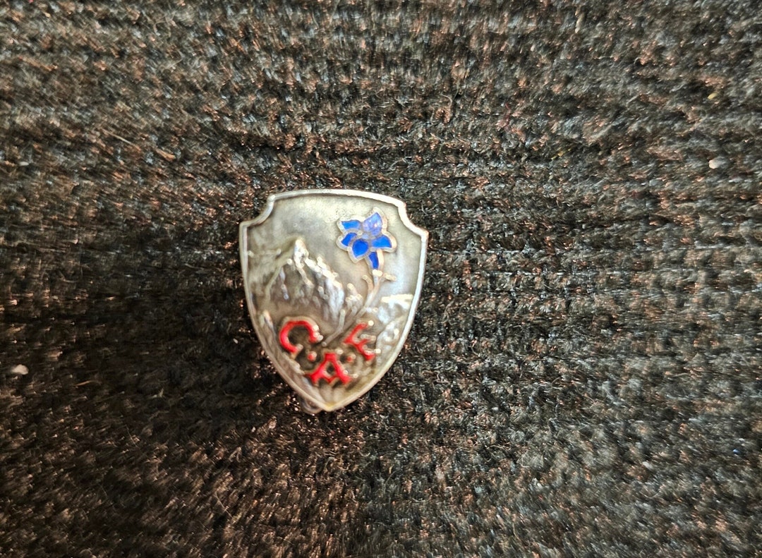 Antique French Augis Silver & Enamel Montagne Alpine Ski Club Pin Badge ...