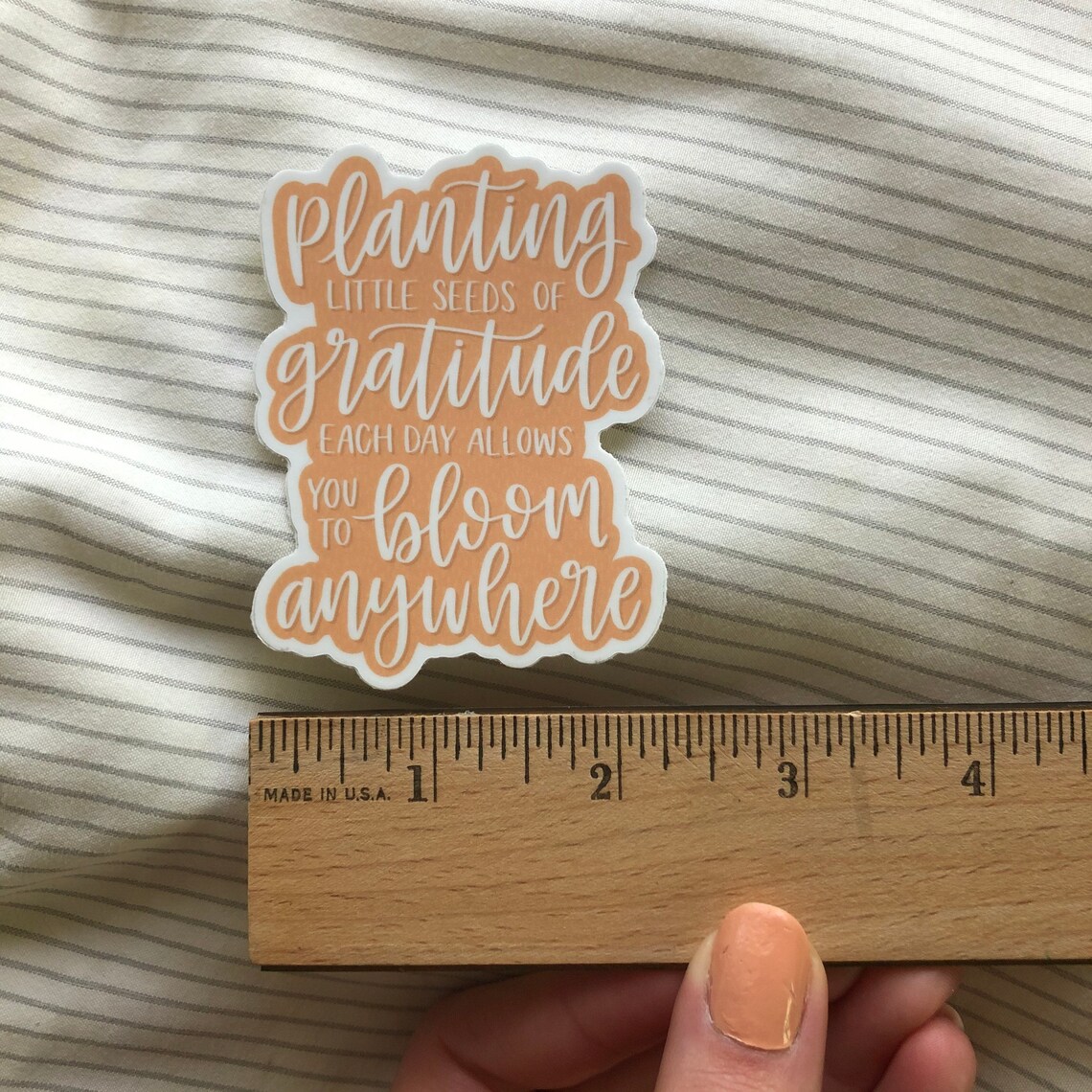 Gratitude Sticker Modern Calligraphy Decal | Etsy