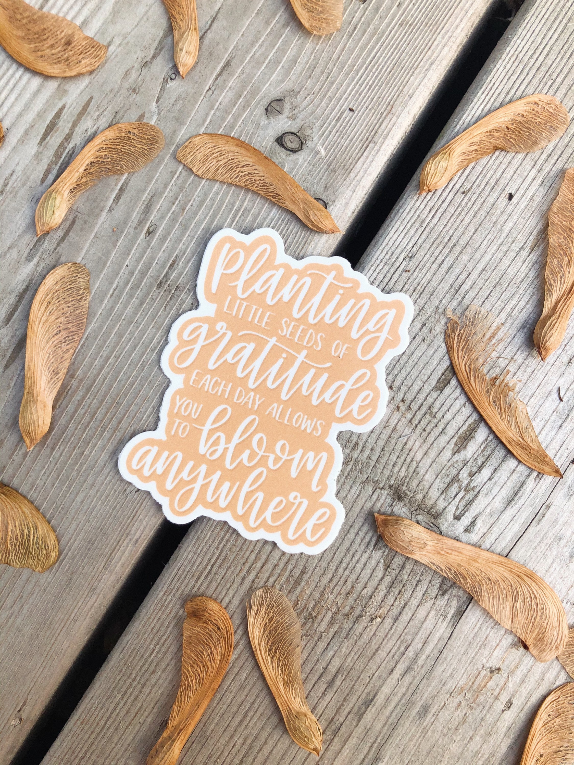 Gratitude Sticker Modern Calligraphy Decal | Etsy