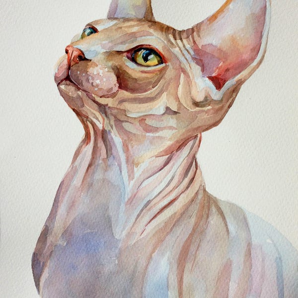 Sphynx Cat Art - Etsy