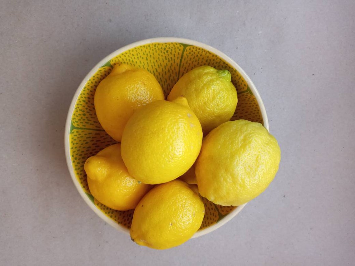 Lemon bowl Big bowl Wide bowl Fruit bowl Ceramic bowl Handmade | Etsy