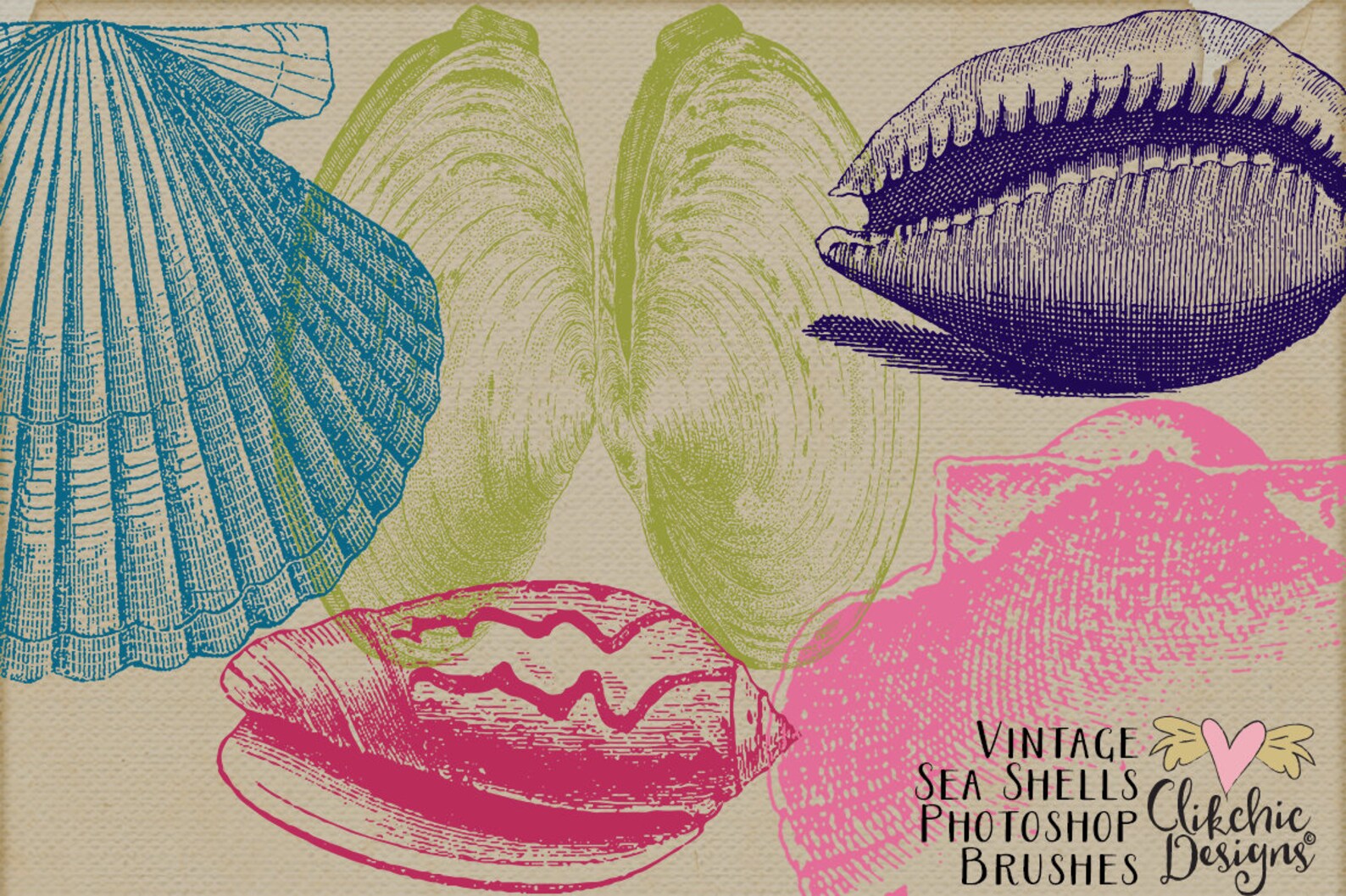 Sea Shell Photoshop Brushes Vintage Beach Sea Shells Digital Stamps ...