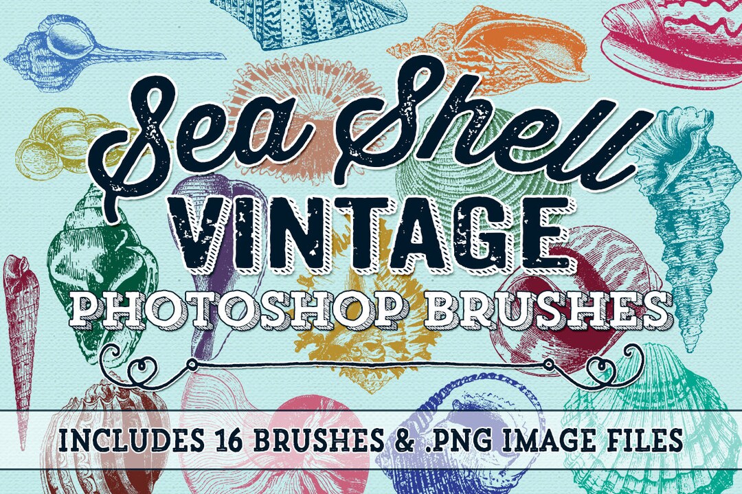 Sea Shell Photoshop Brushes Vintage Beach Sea Shells Digital Stamps ...