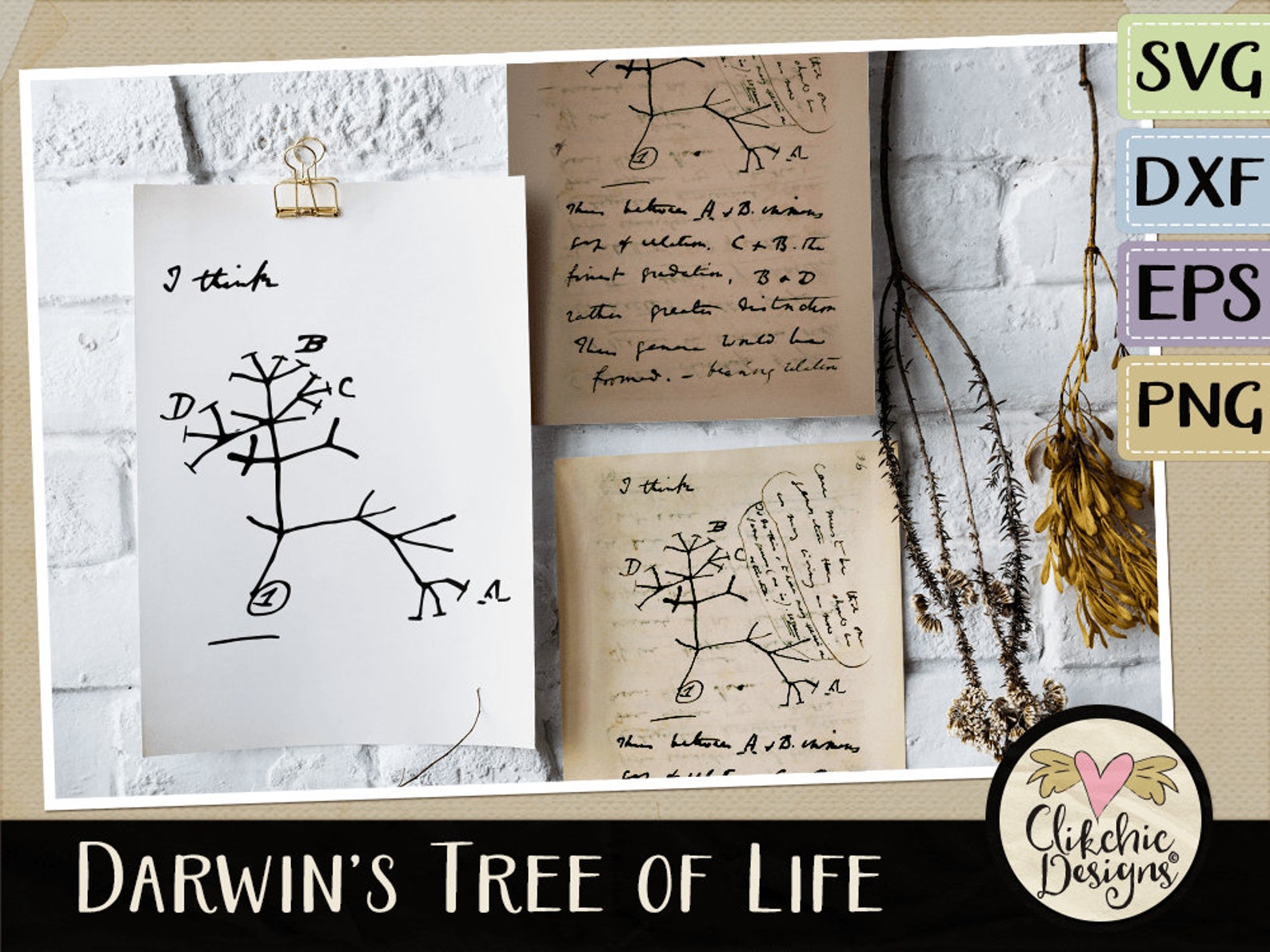 Darwin's Tree of Life SVG Cutting Files, Evolutionary Tree Svg, DXF Cut ...