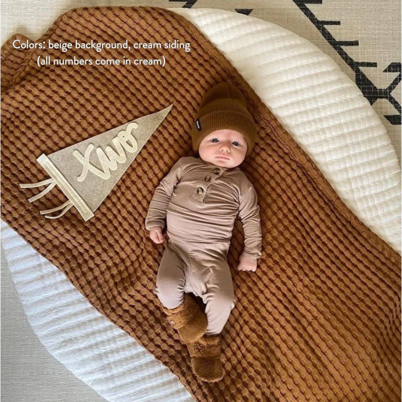 Monthly Pennant for Baby - Etsy