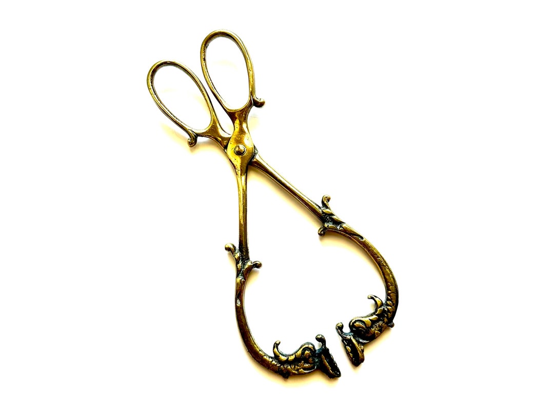 Antique Brass Ember Tongs: Dauphin Devil Koi Fish Fireplace Tool - Etsy