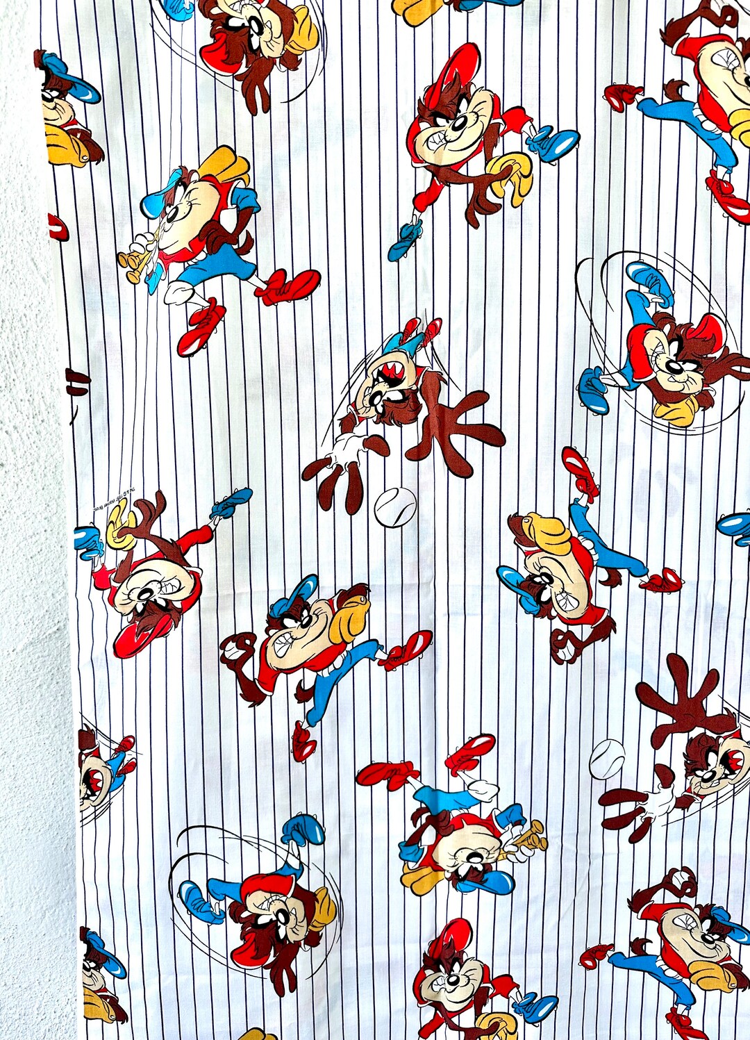 Vintage 90s Taz Baseball Fabric 1990s Tasmanian Devil Warner Bros Pin ...