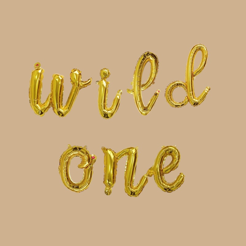 Wild One Balloon - Etsy