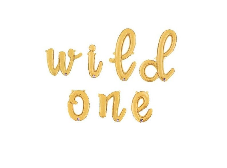Wild One Script Balloon Banner Wild One First Birthday | Etsy