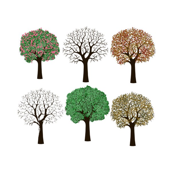 Spring Summer Fall - Etsy