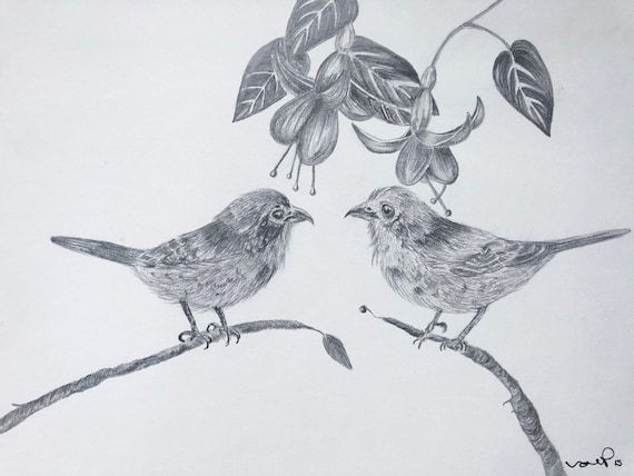 graphite art Frame option available. Drawing of two birds Pet Supplies ...