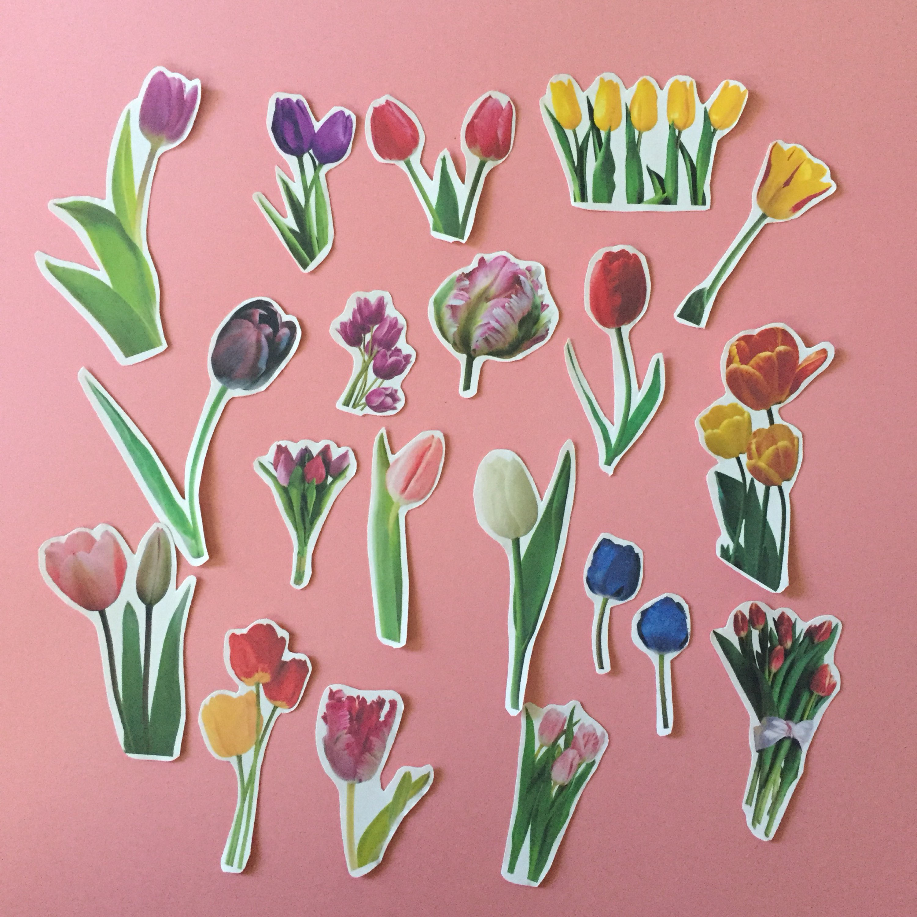20 tulips stickers tulips stickers tulips decorations | Etsy