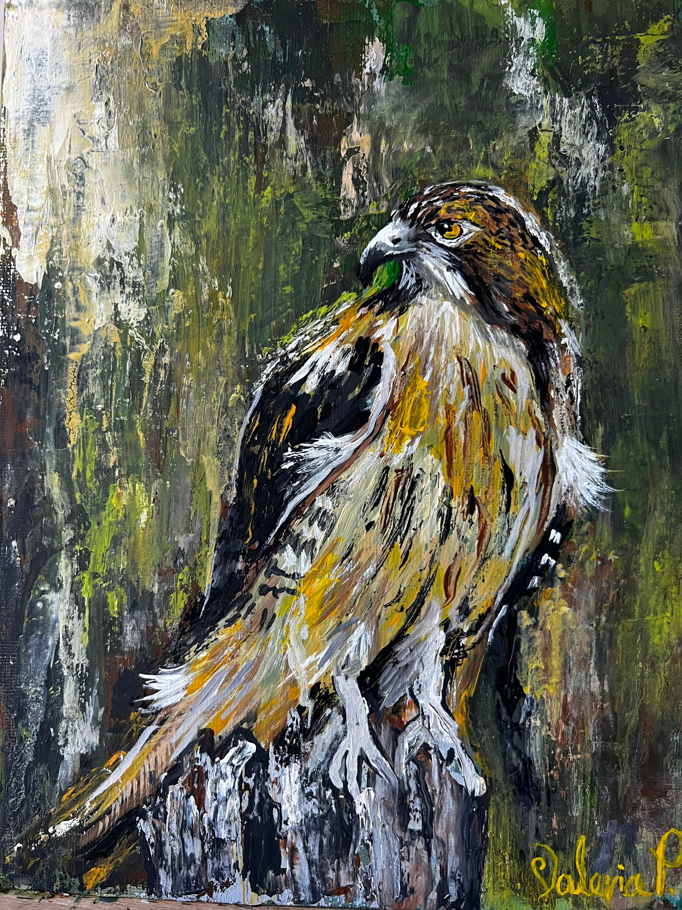 Hawk Oil Painting