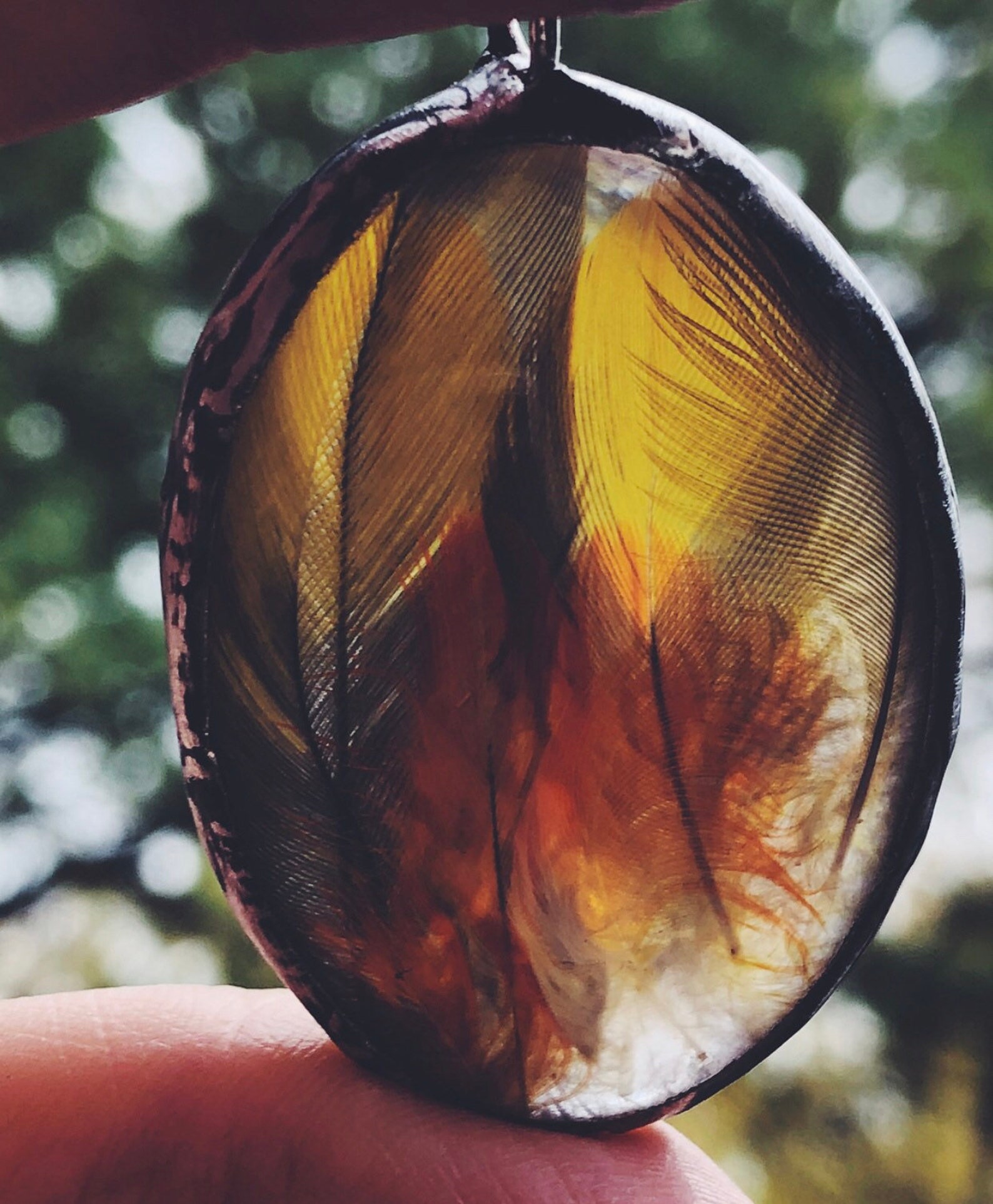 Sun Conure Feather Necklace Bird Pendant Feather Pendant | Etsy