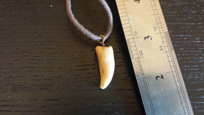 Striking African Lion Cub Tooth Replica Pendant in Realistic Polymer ...