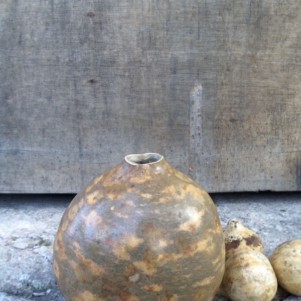 Gourd Vase - Etsy